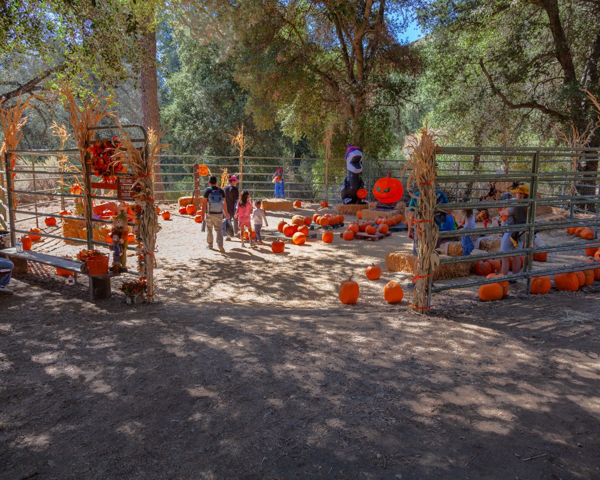 Horse of the Sun Ranch – Explore San Diego and Beyond